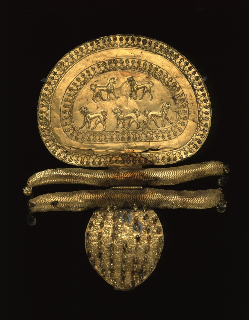 Large parade Fibula
